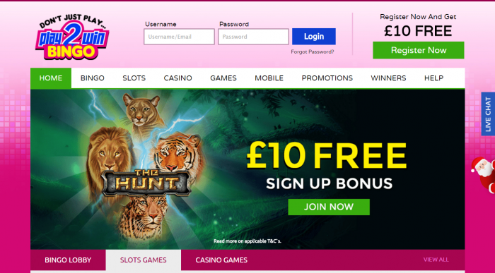Play2Win Bingo Review | You Have £10 FREE Bonus Cash Here!